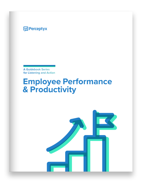 Employee Performance & Productivity: A Listening and Action Guidebook