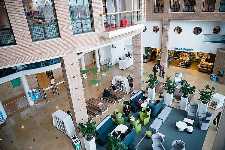 Ahold Delhaize - Company-Wide Engagement Survey Customer Story